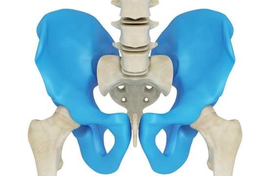 Cirugía de Cadera y Pelvis en Valencia | Clinica Jaime I Catarroja ...